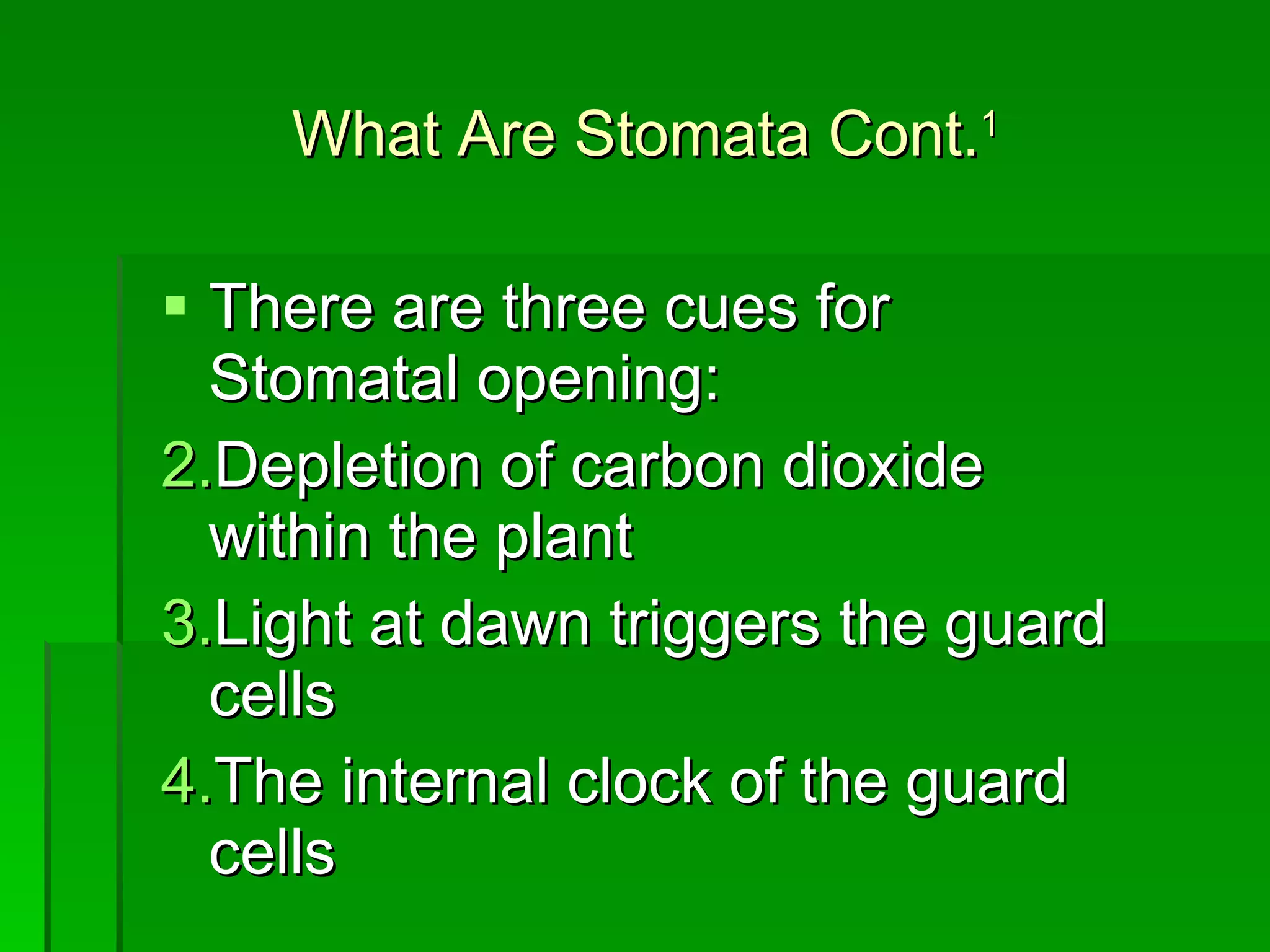 Stomata density denzel,breana | PPT