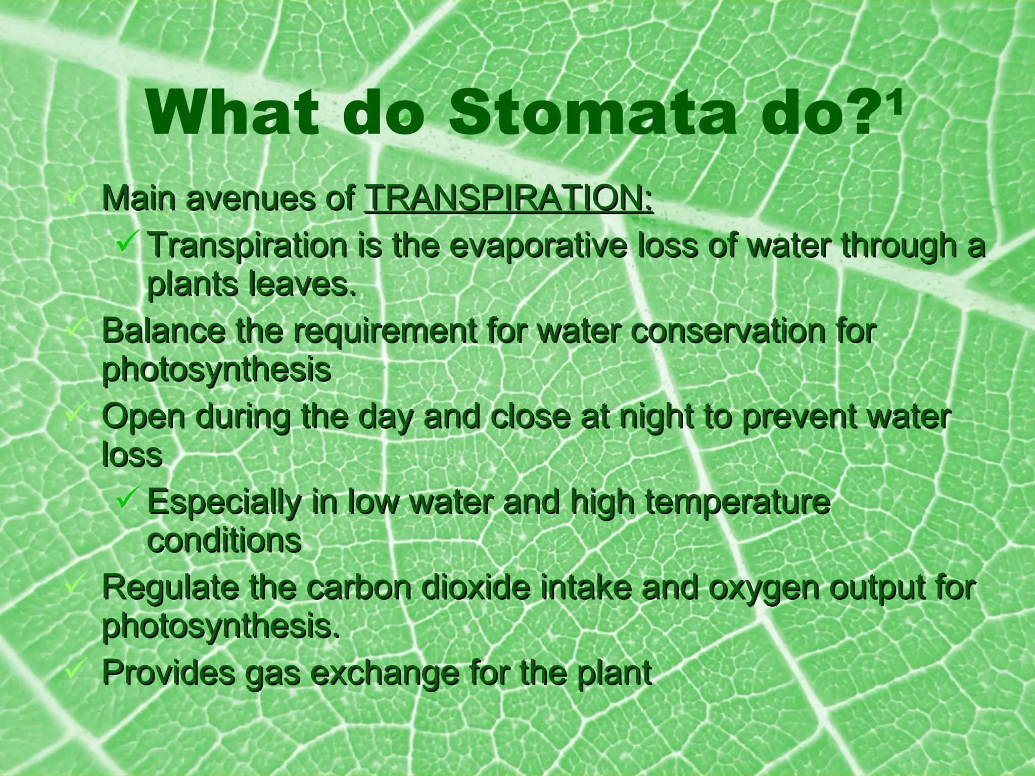 Stomata density denzel,breana | PPT