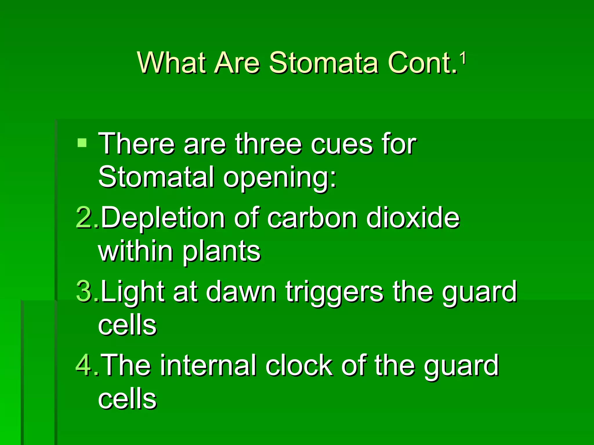 Stomata density denzel,breana | PPT
