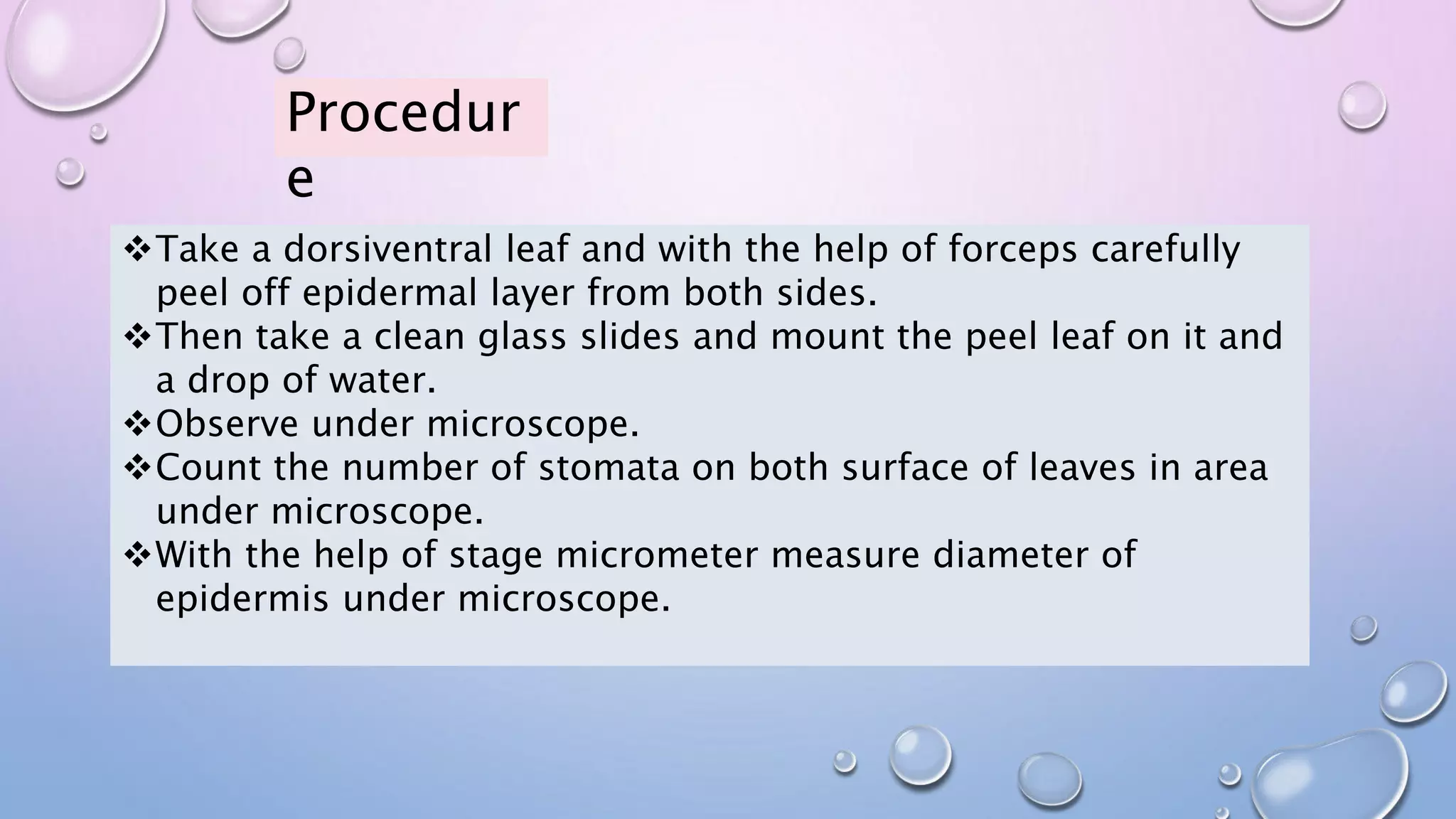 Stomatal frequency (Plant Development) | PPTX