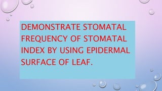 Stomatal frequency (Plant Development) | PPTX