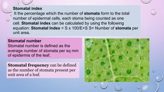 Stomatal frequency (Plant Development) | PPT