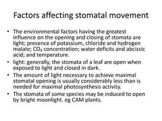 Stomatal movement | PPTX