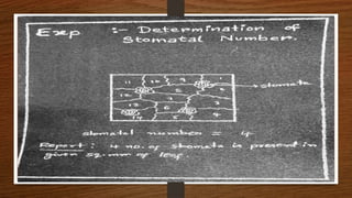 STOMATAL NUMBER.pdf