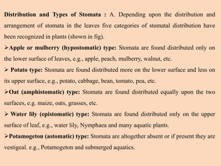 Stomatal Physiology.pptx