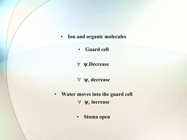 Stomatal regulation | PPT | Gardening | Home & Garden