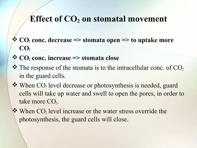 Stomatal regulation | PPT | Gardening | Home & Garden