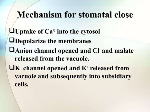 Mechanism and factors affecting on Stomatal regulation | PPTX