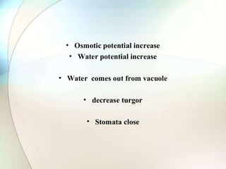 Mechanism and factors affecting on Stomatal regulation | PPTX