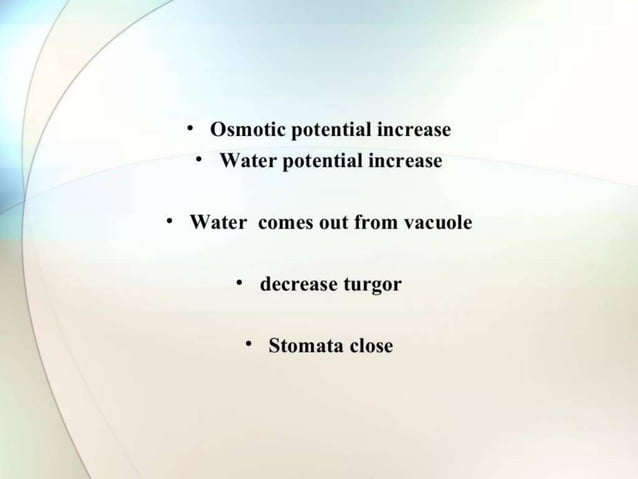 Mechanism and factors affecting on Stomatal regulation | PPTX