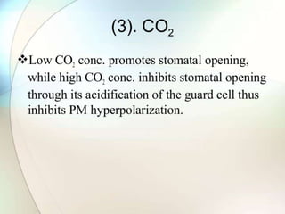 Mechanism and factors affecting on Stomatal regulation | PPTX