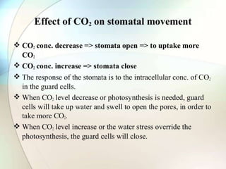 Mechanism and factors affecting on Stomatal regulation | PPTX