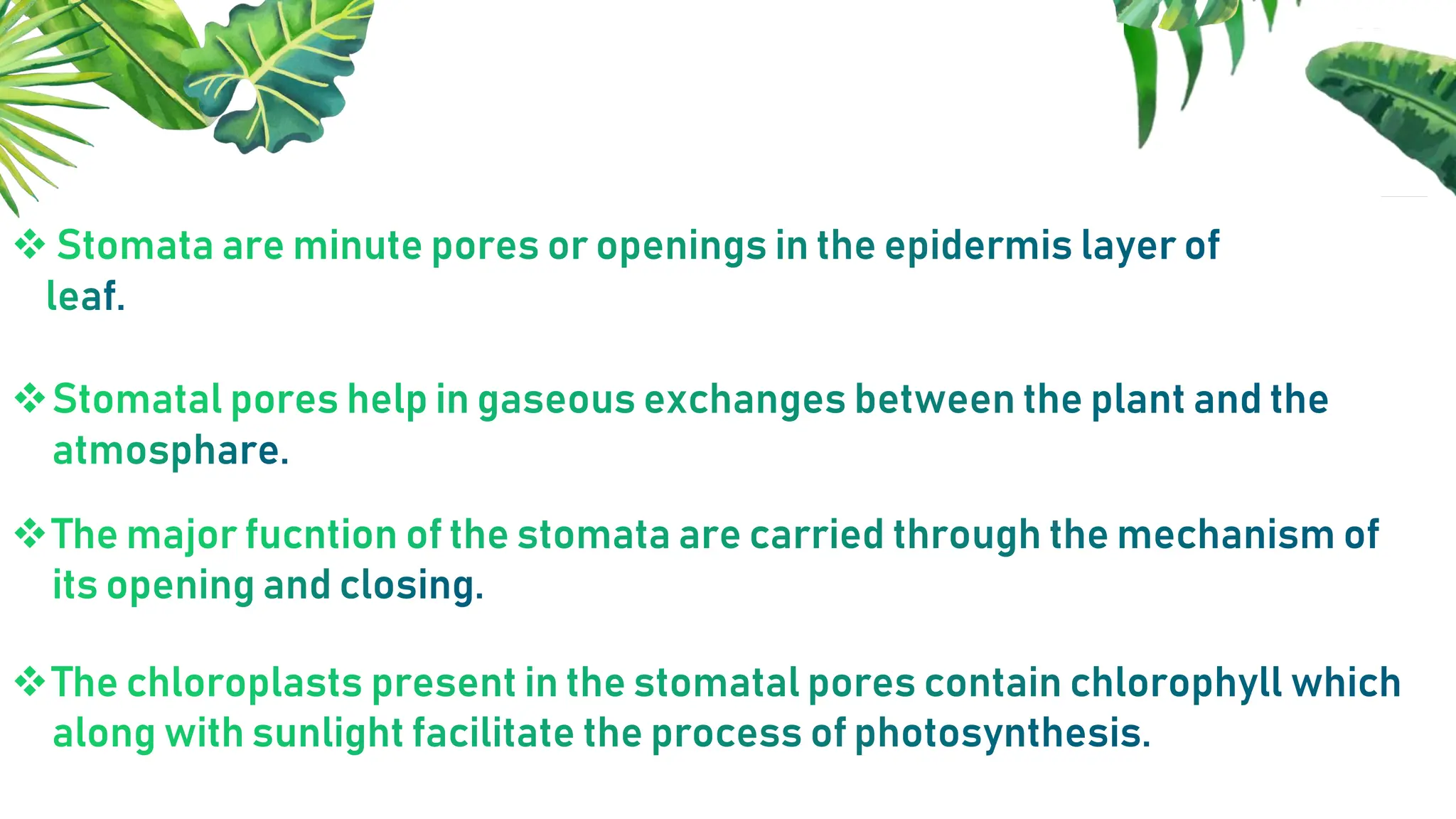 STOMATAL REGULATION (M.SC PRE.)don't copy only for your knowledge.pptx