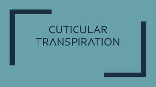 transpiration | PPTX