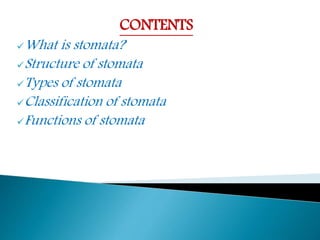Stomata ppt | PPTX