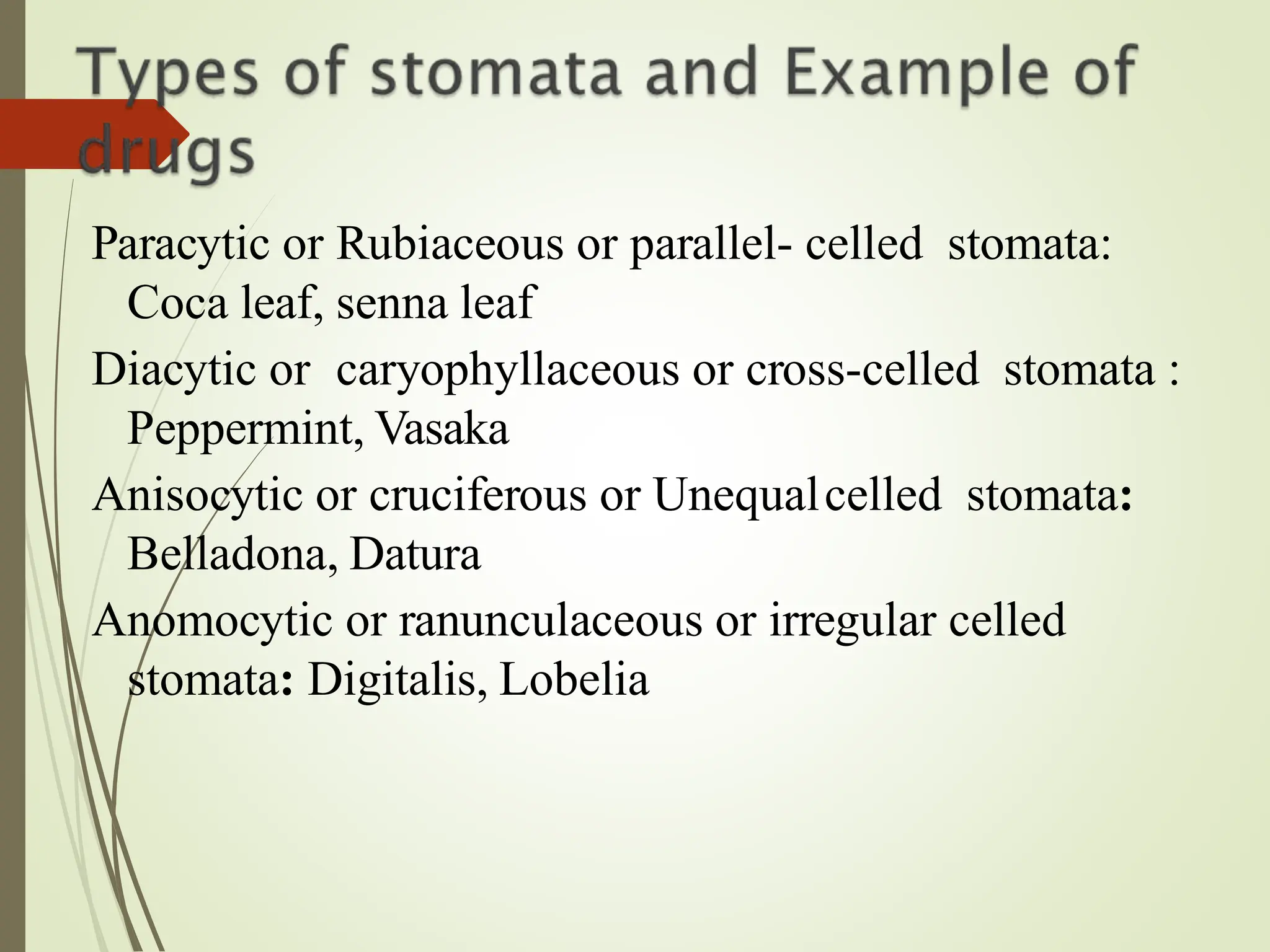 Stomata Types.pptx