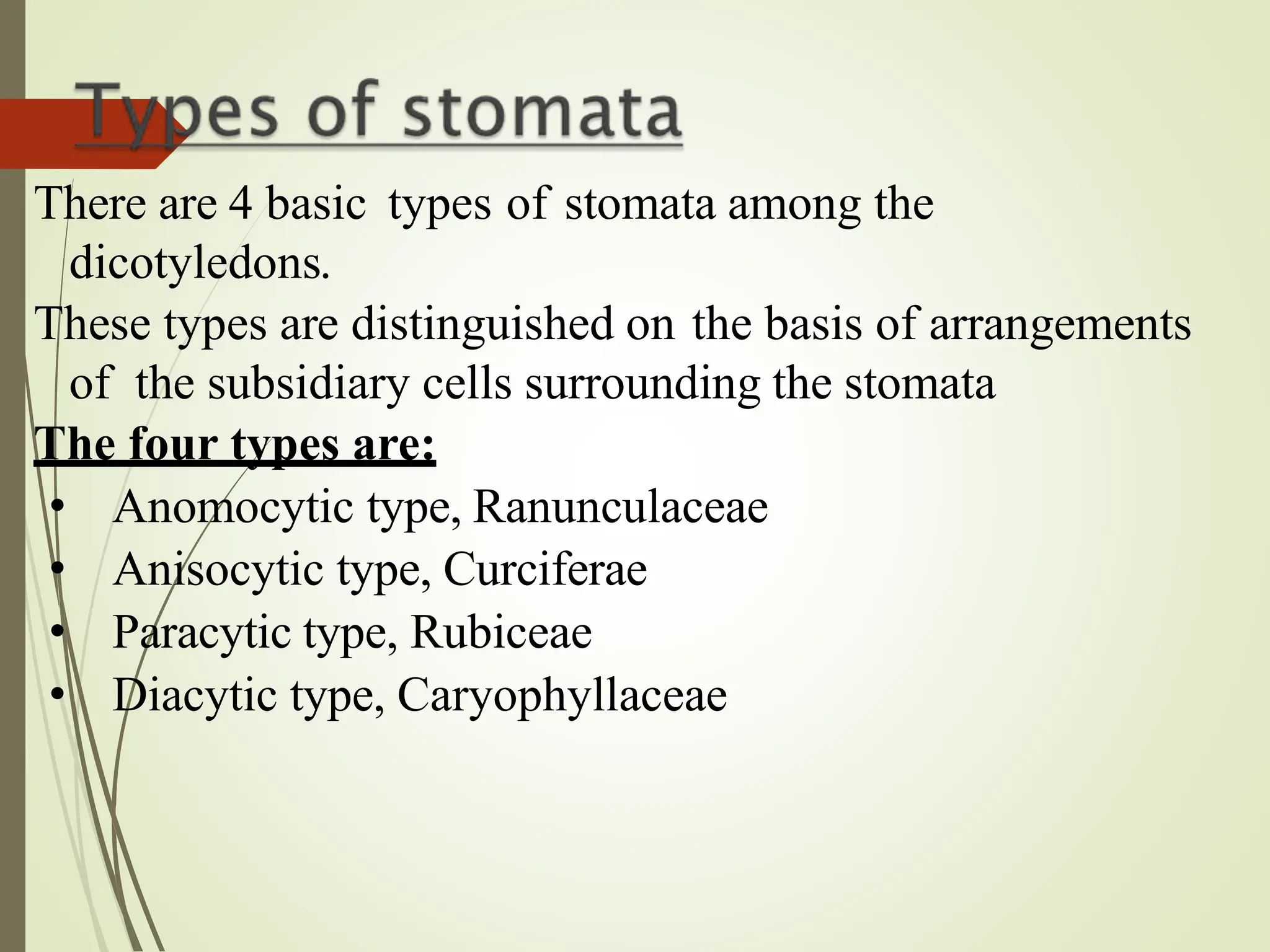 Stomata Types.pptx