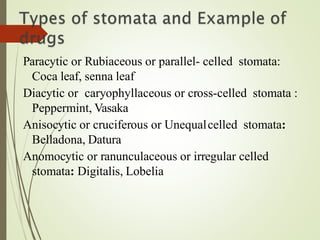 Stomata Types.pptx