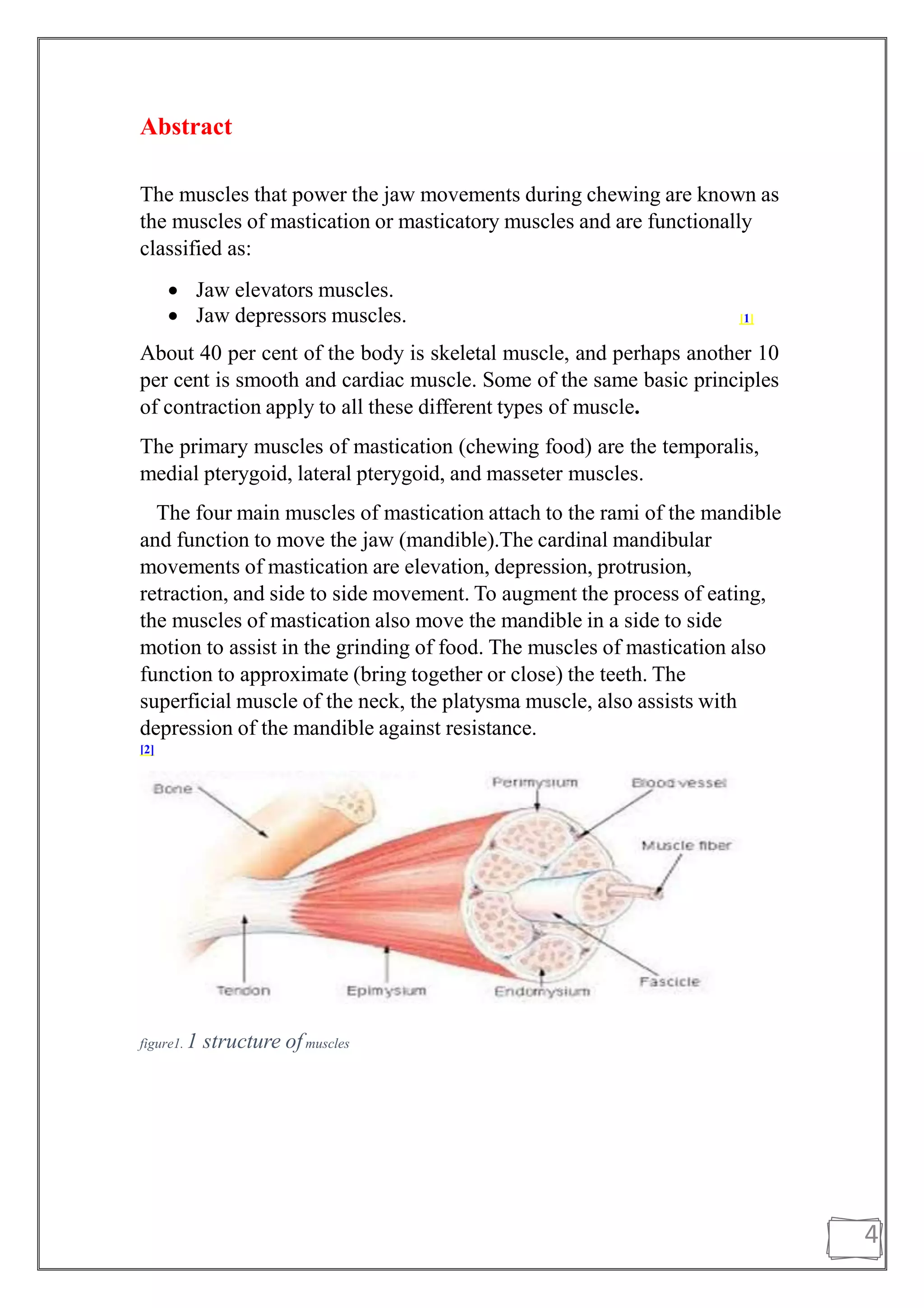 Stomato muscles of mastication dr ahmed reda | PPTX