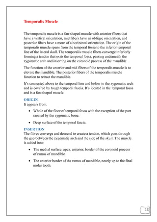 Stomato muscles of mastication dr ahmed reda | PDF
