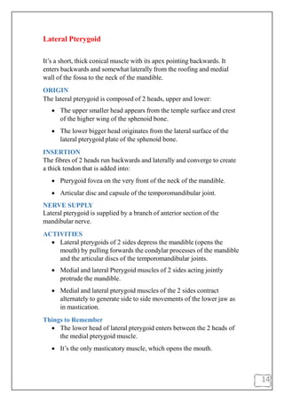 Stomato muscles of mastication dr ahmed reda | PDF