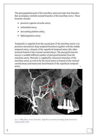 Stomato muscles of mastication dr ahmed reda | PDF