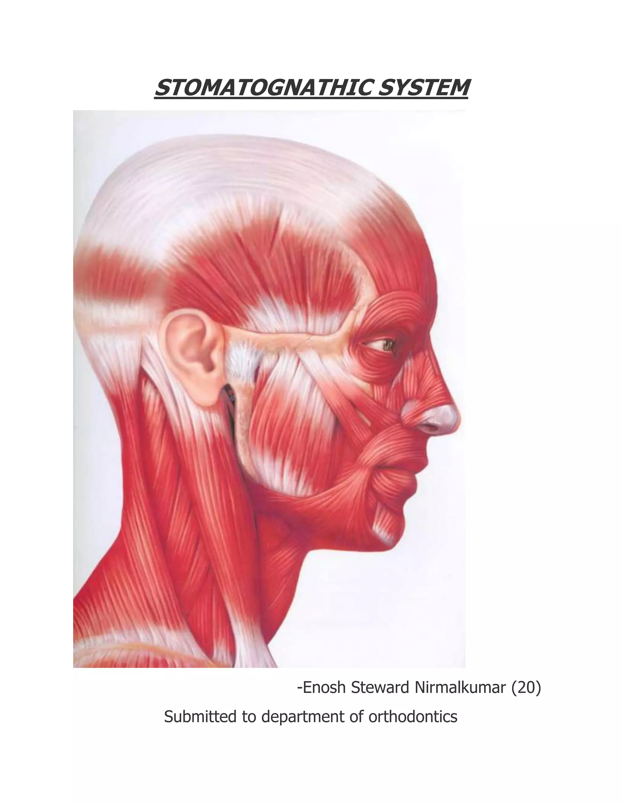 Stomatognathic system | DOCX