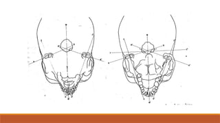 Stomatognathic system .pptx Salzmann’s defined, the interdependence of ...