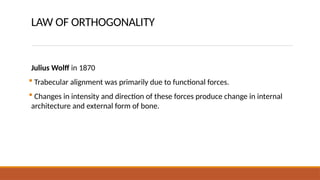 Stomatognathic system .pptx Salzmann’s defined, the interdependence of ...