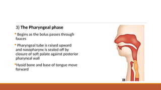 Stomatognathic system .pptx Salzmann’s defined, the interdependence of ...