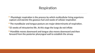 Stomatognathic system .pptx Salzmann’s defined, the interdependence of ...