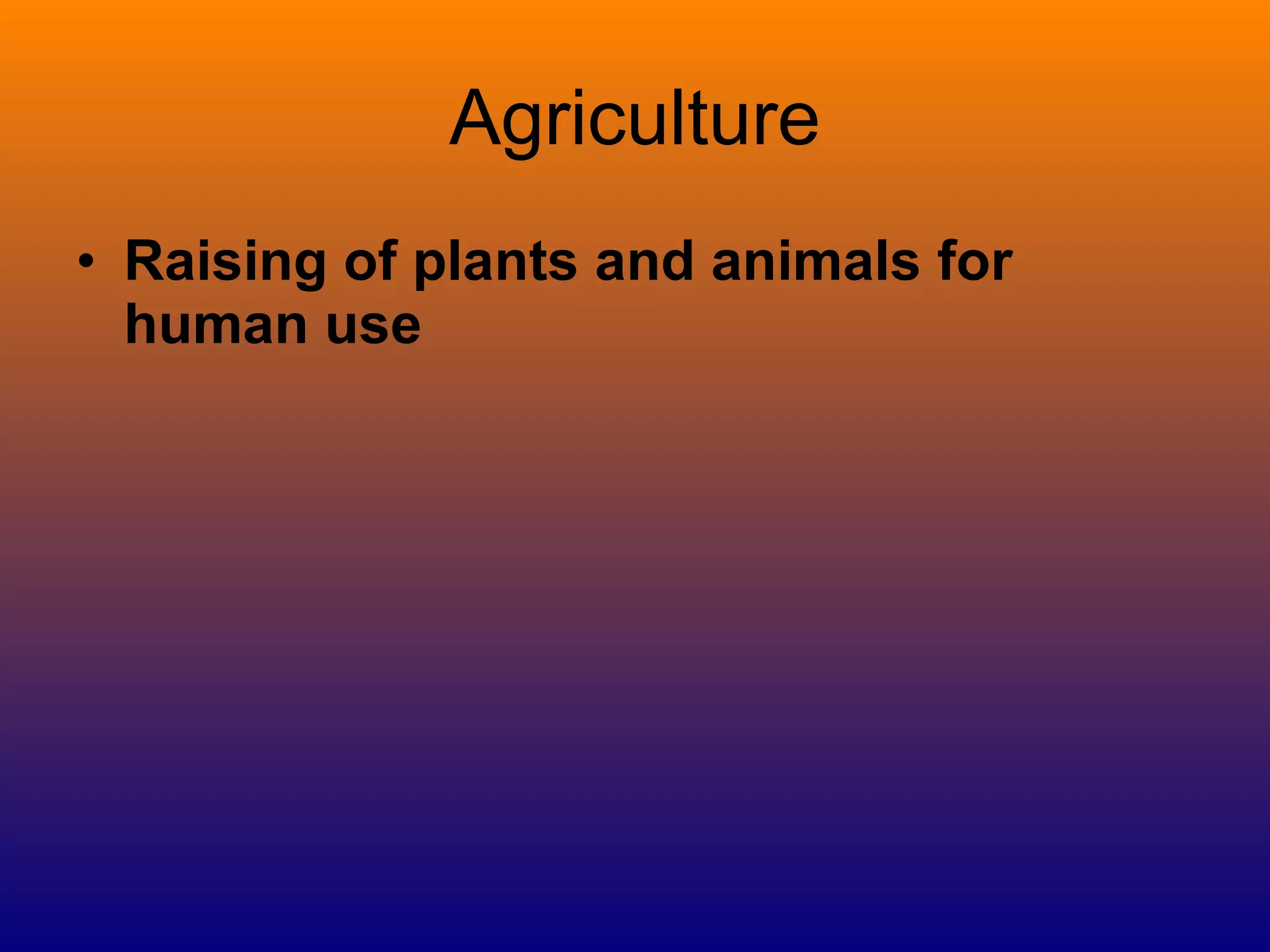 Stone Age Vocabulary | PPT