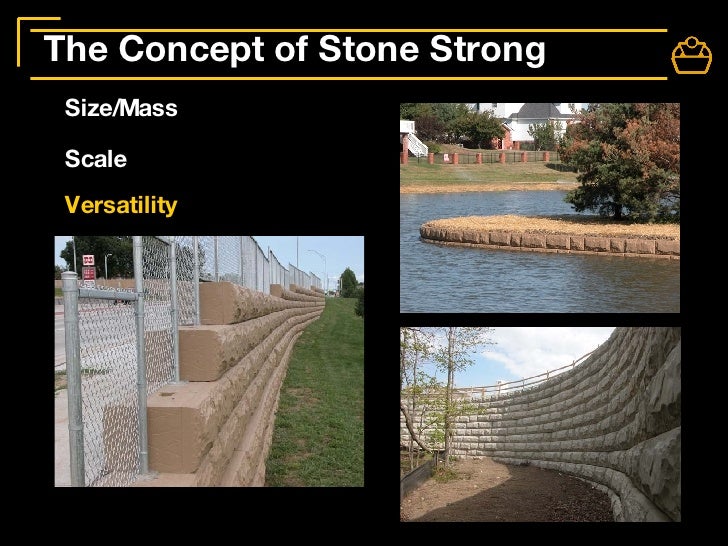 The Stone Strong System
