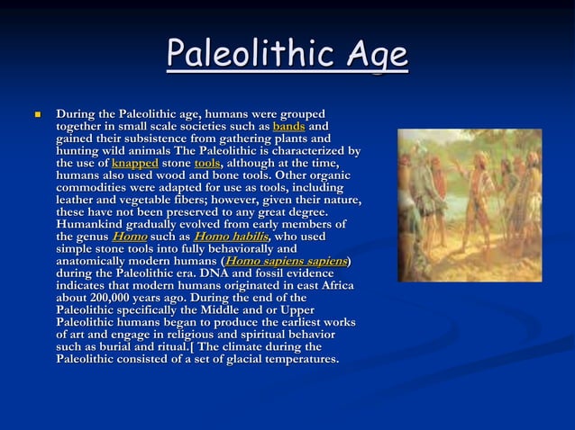 Stone age | PPT