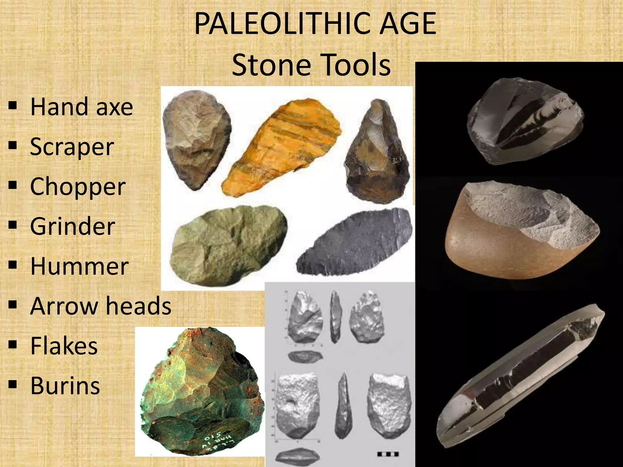 Stone age | PPTX