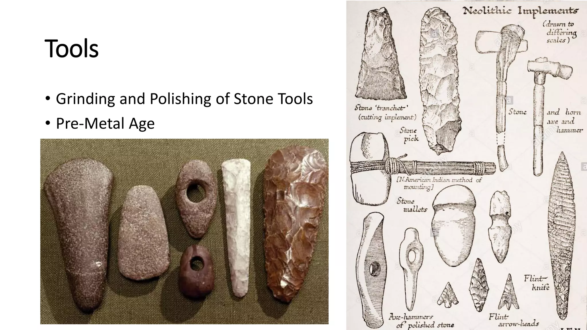 Stone Age Cultures | PDF