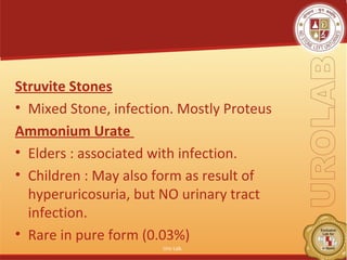 Stone disease evaluation in Pathology laboratory: Current prospective ...