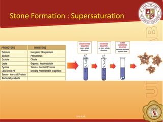 Stone disease evaluation in Pathology laboratory: Current prospective ...