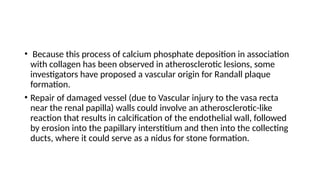 STONE DISEASES : Risk, causes and pathogenesis[Autosaved].pptx