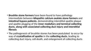 STONE DISEASES : Risk, causes and pathogenesis[Autosaved].pptx