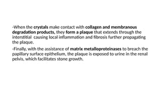 STONE DISEASES : Risk, causes and pathogenesis[Autosaved].pptx