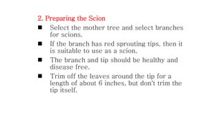 Stone Grafting level 4 semester II i.pdf