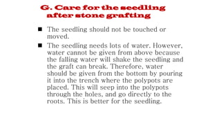 Stone Grafting level 4 semester II i.pdf