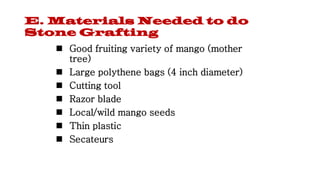Stone Grafting level 4 semester II i.pdf