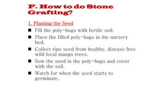 Stone Grafting level 4 semester II i.pdf