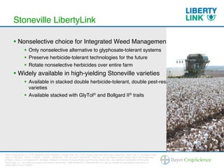 Stoneville Cotton - LibertyLink 2012 Variety Guide | PDF | Agriculture ...
