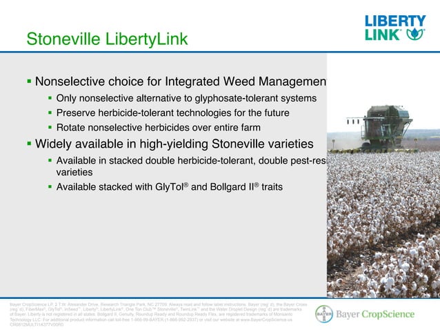 Stoneville Cotton - LibertyLink 2012 Variety Guide | PDF | Agriculture ...
