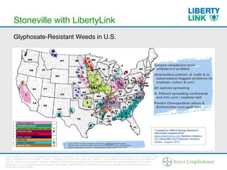 Stoneville Cotton - LibertyLink 2012 Variety Guide | PPT