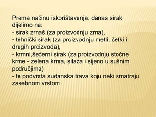 Stočni sirak | PPT