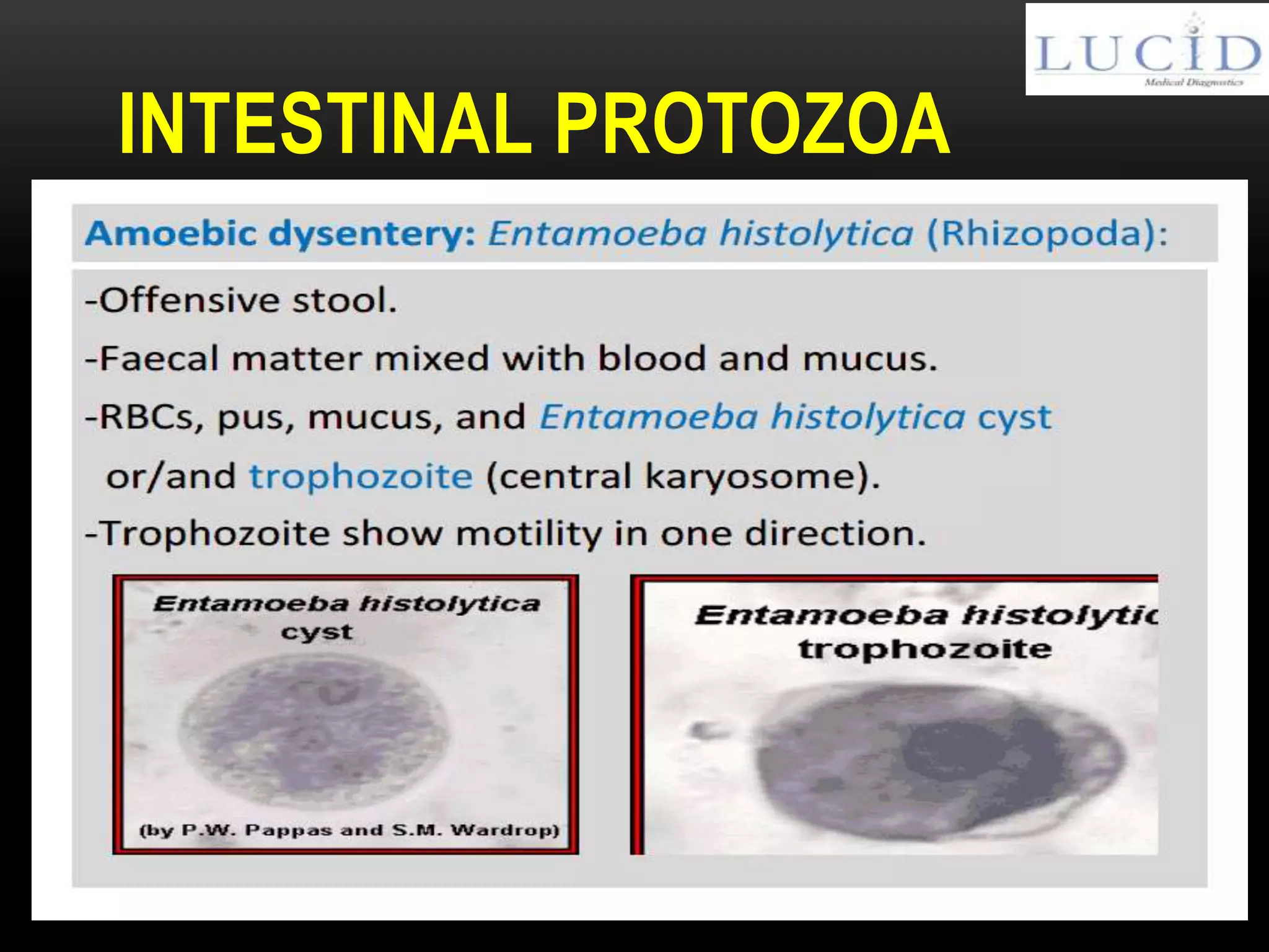 Stool analysis | PPT